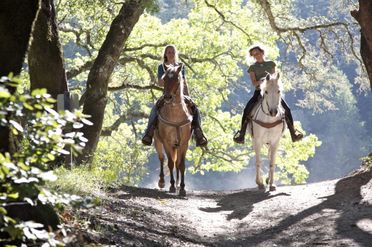 Joining The Herd: Double JJ Horseback Riding - Double JJ Resort