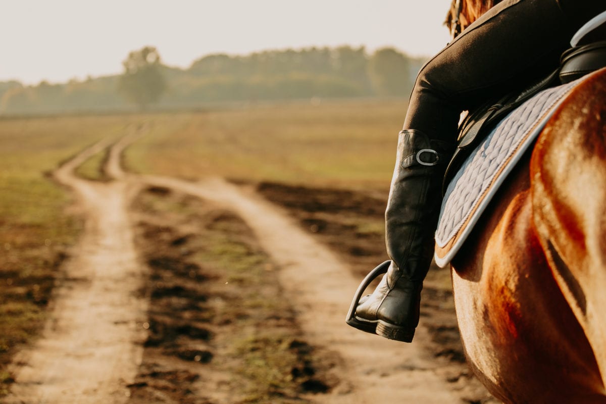 Horseback Riding Trails & Stables - Double JJ Resort