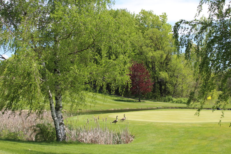 Grand View Golf Course - Double JJ Resort