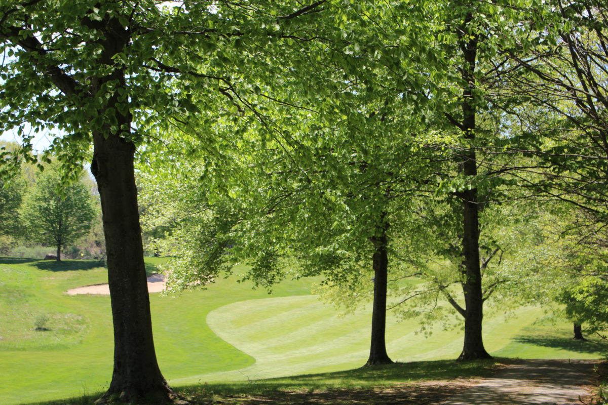 Grand View Golf Course - Double JJ Resort