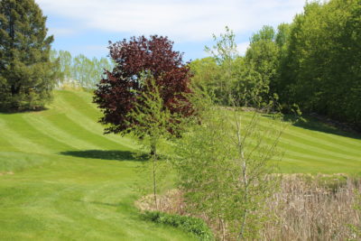 Grand View Golf Course - Double JJ Resort