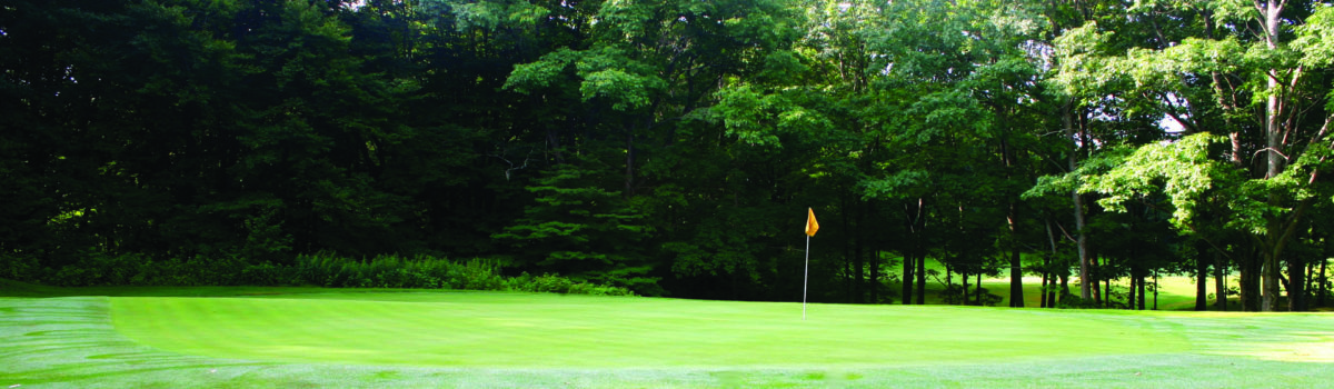 Arthur Hills Thoroughbred Golf Club - Double JJ Resort