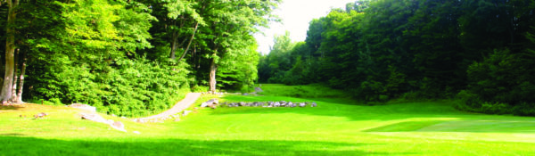 Arthur Hills Thoroughbred Golf Club - Double JJ Resort