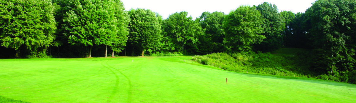 Arthur Hills Thoroughbred Golf Club - Double JJ Resort