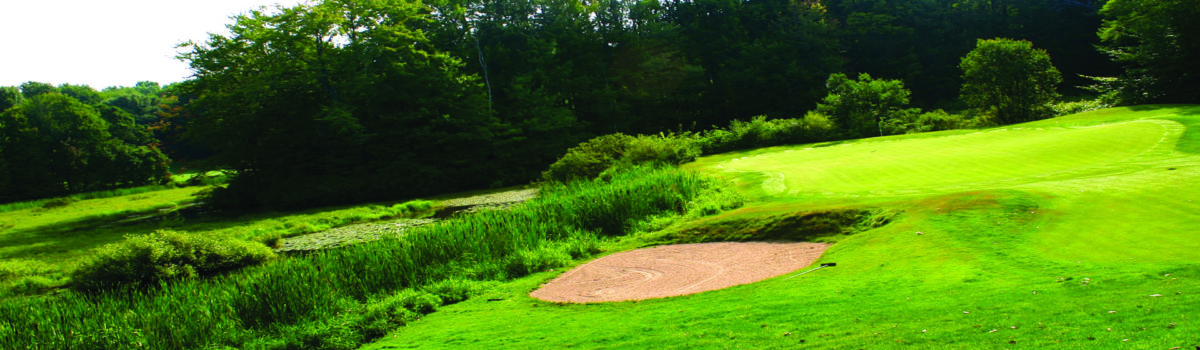 Arthur Hills Thoroughbred Golf Club - Double JJ Resort