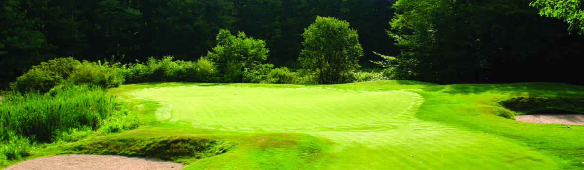 Arthur Hills Thoroughbred Golf Club - Double JJ Resort