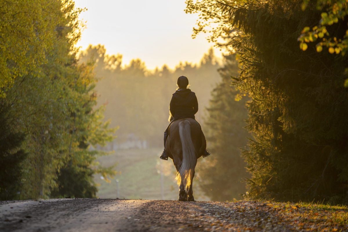 Horseback Riding Trails & Stables - Double JJ Resort