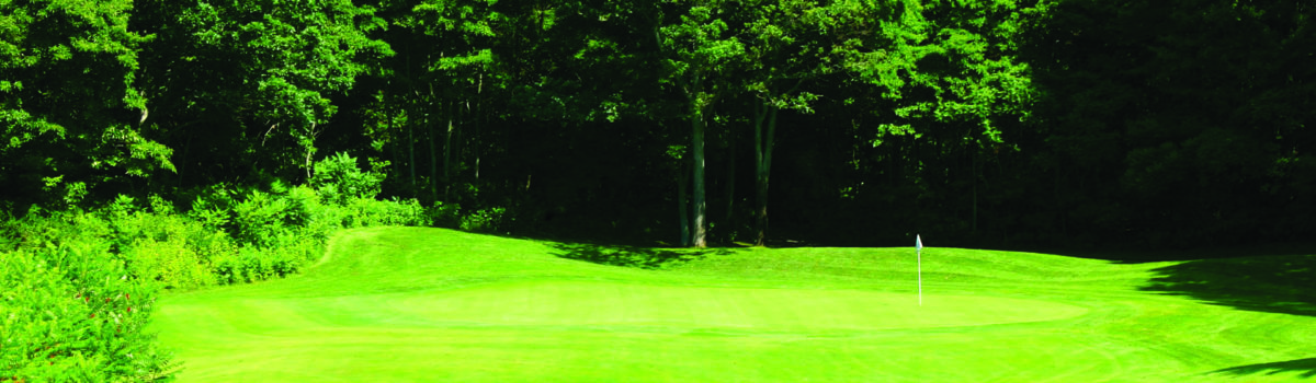 Arthur Hills Thoroughbred Golf Club - Double JJ Resort