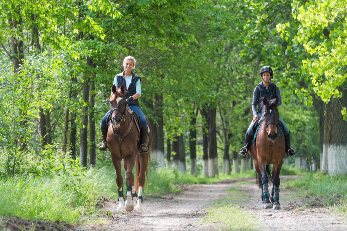 Horseback Riding Trails & Stables - Double JJ Resort